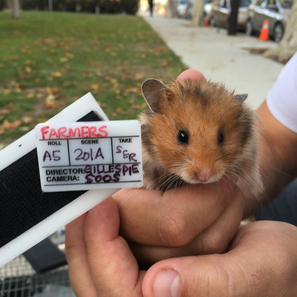 Mini Slate Set – MyGoGear